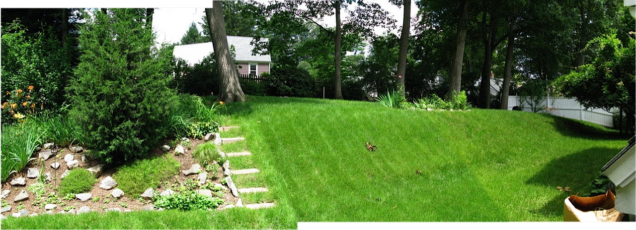 A Steep Slope Transformed | Sally Muspratt Landscape Design