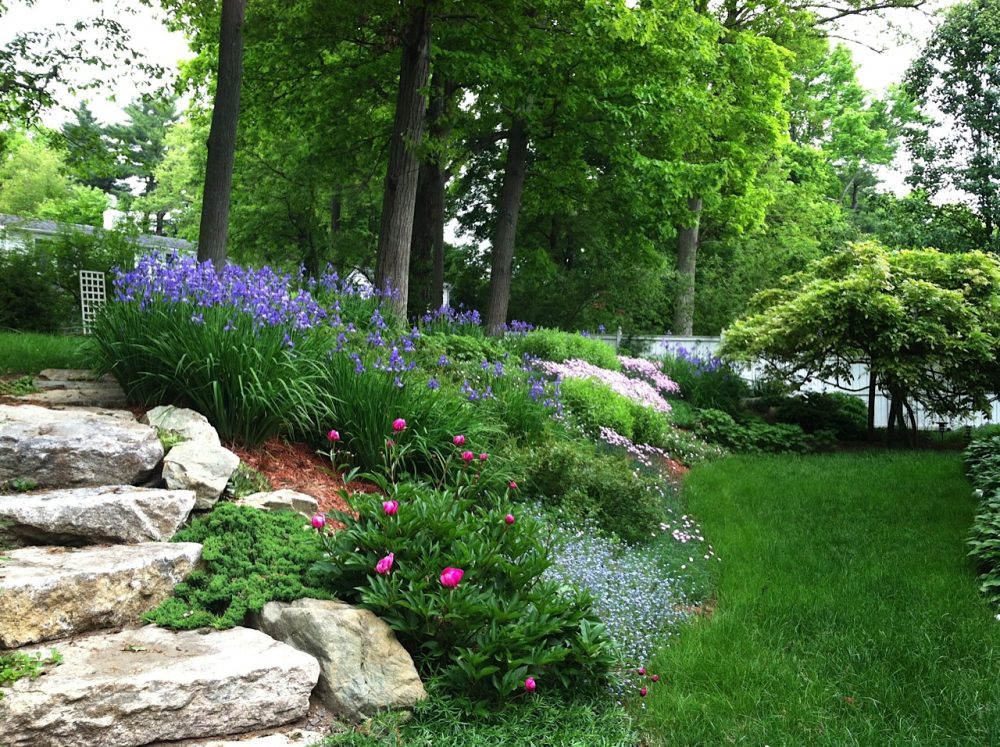 A Steep Slope Transformed | Sally Muspratt Landscape Design